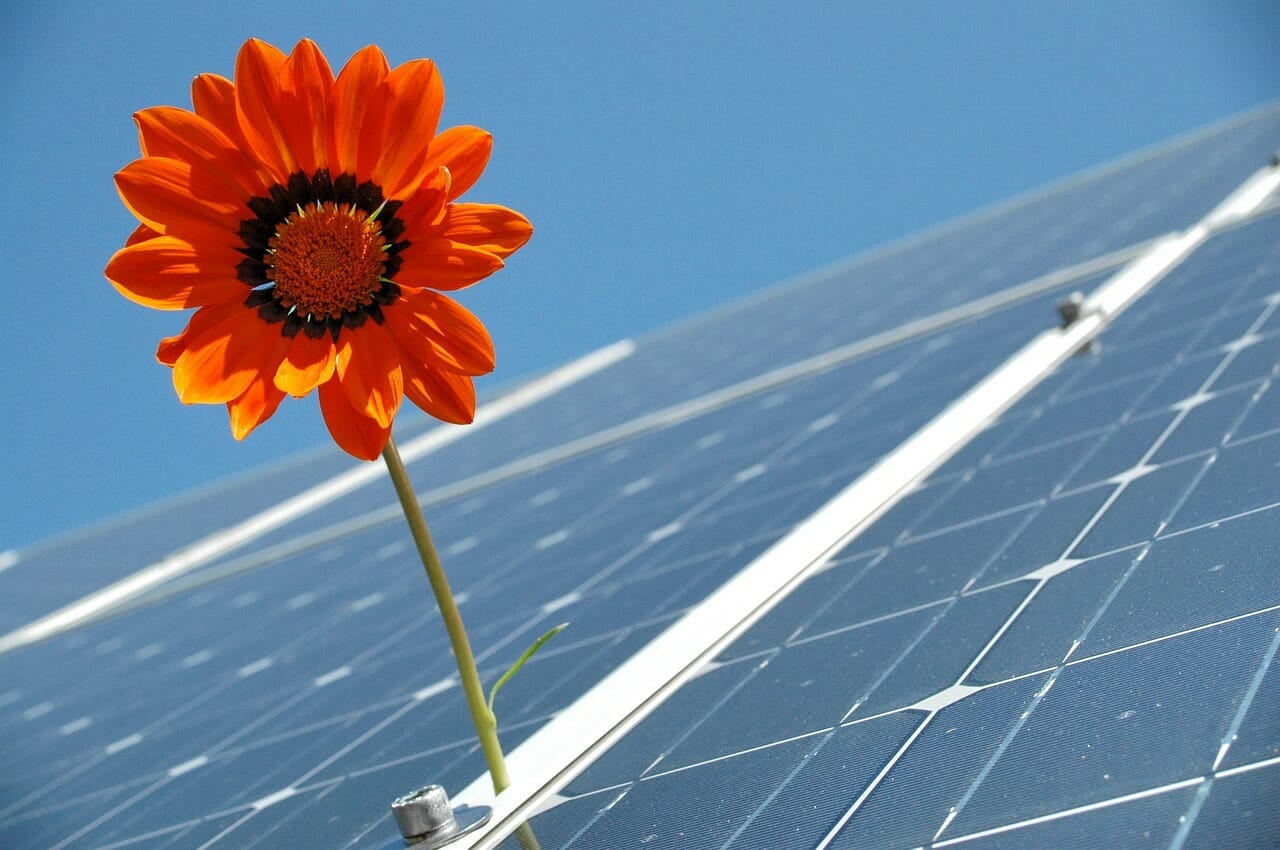 Get a Cost/Benefit Analysis for Solar Panels in East Northport, NY ...